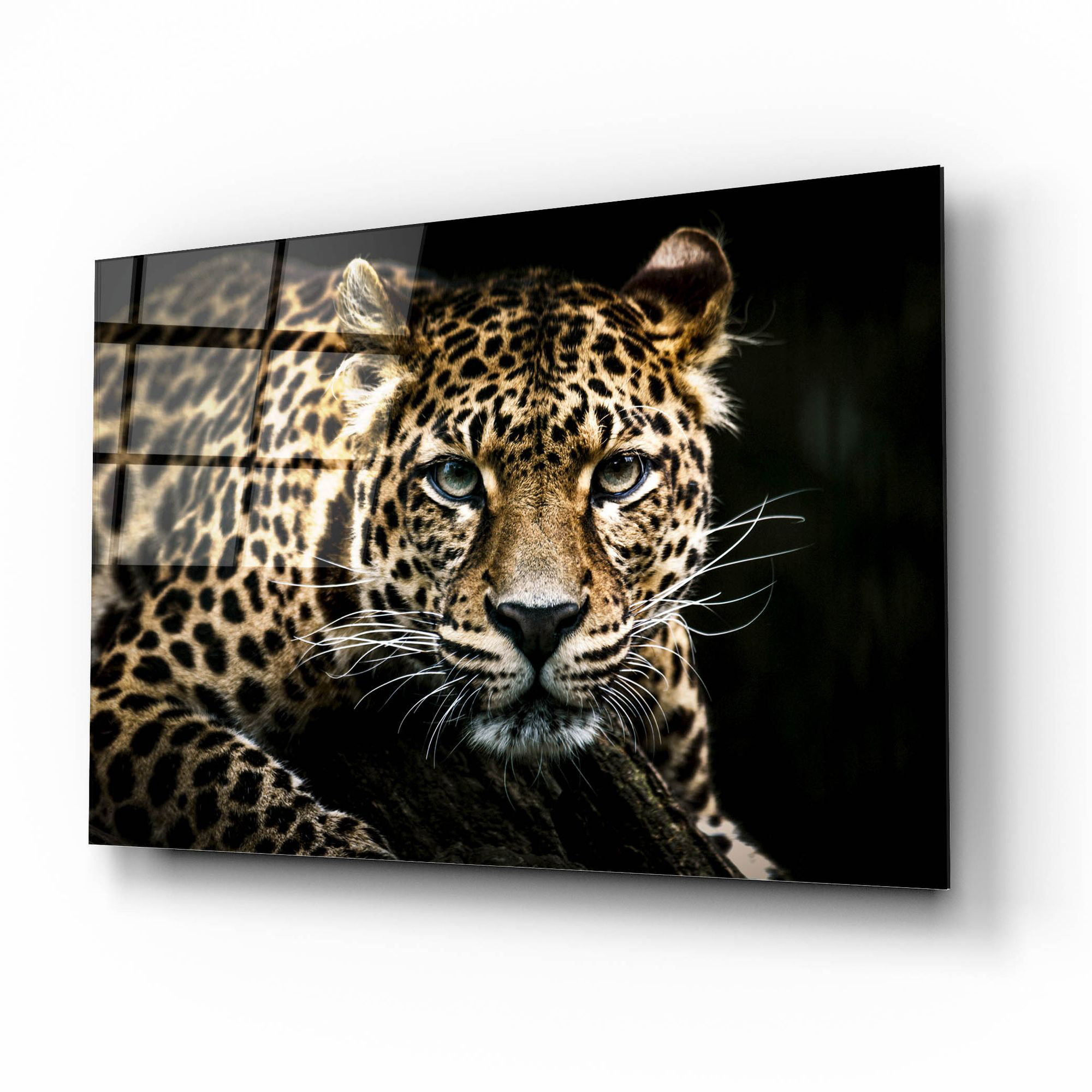 Ebern Designs 'Leopard On The Hunt' By Epic Portfolio - Wayfair Canada